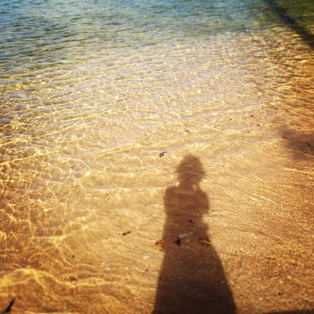 Live Schedule | nobie official website